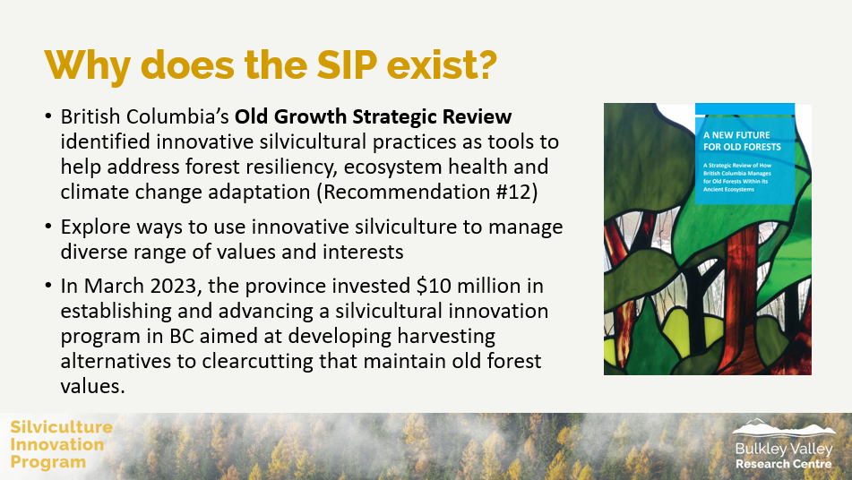 Resources - Silviculture Innovation Program