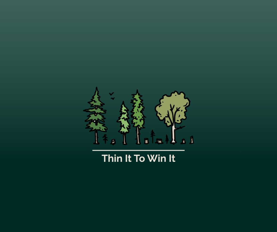 Kwiakah Regenerative Forestry Pilot - Silviculture Innovation Program